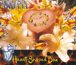Nirvana Heart Shaped Box Rate Your Music